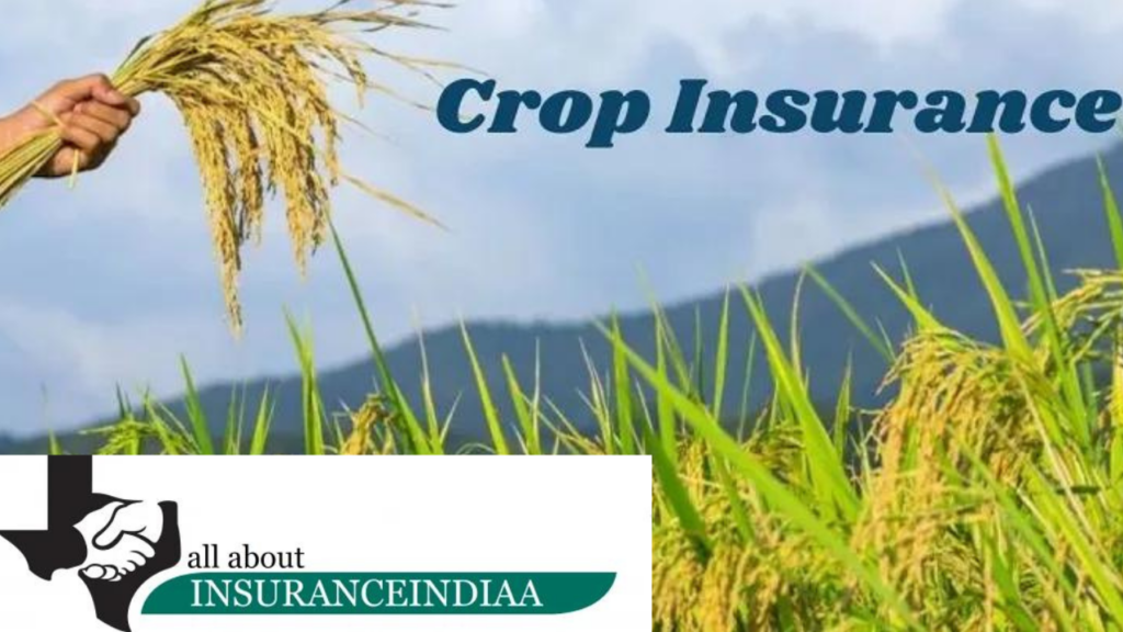 Crop Insurance Scheme : What is Crop Insurance Scheme, how to get its ...